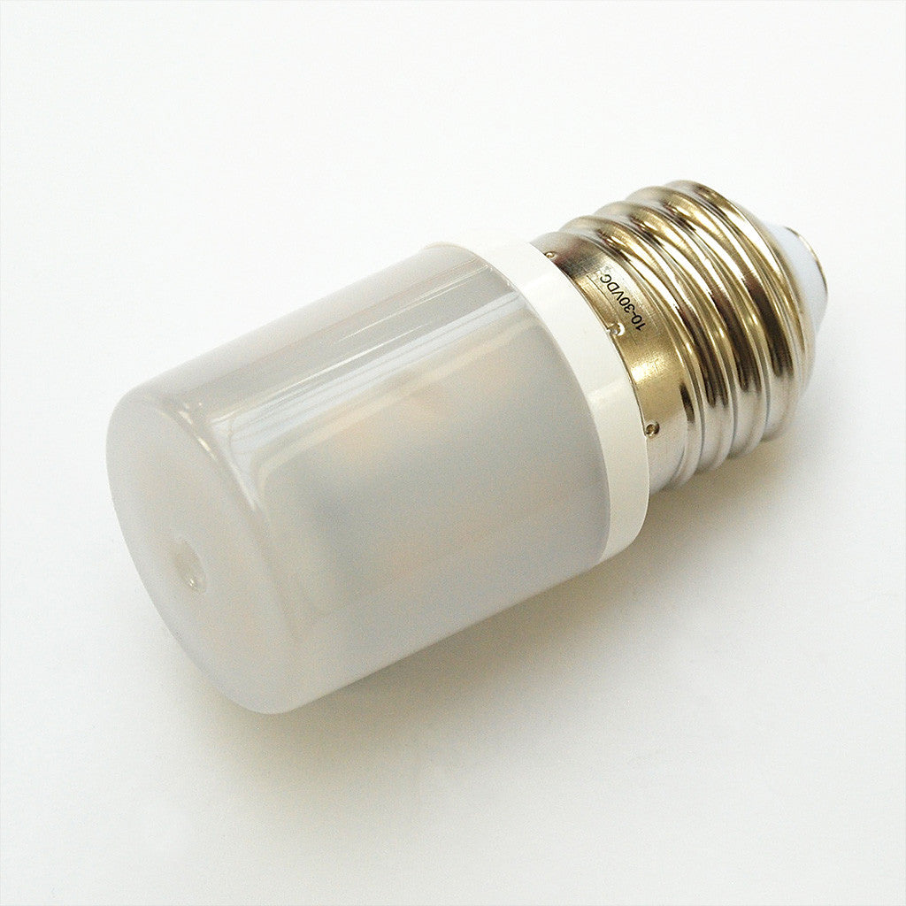 E27 24 SMD High Output 2835 LED Edison Screw Lamp with Diffuser • Boatlamps